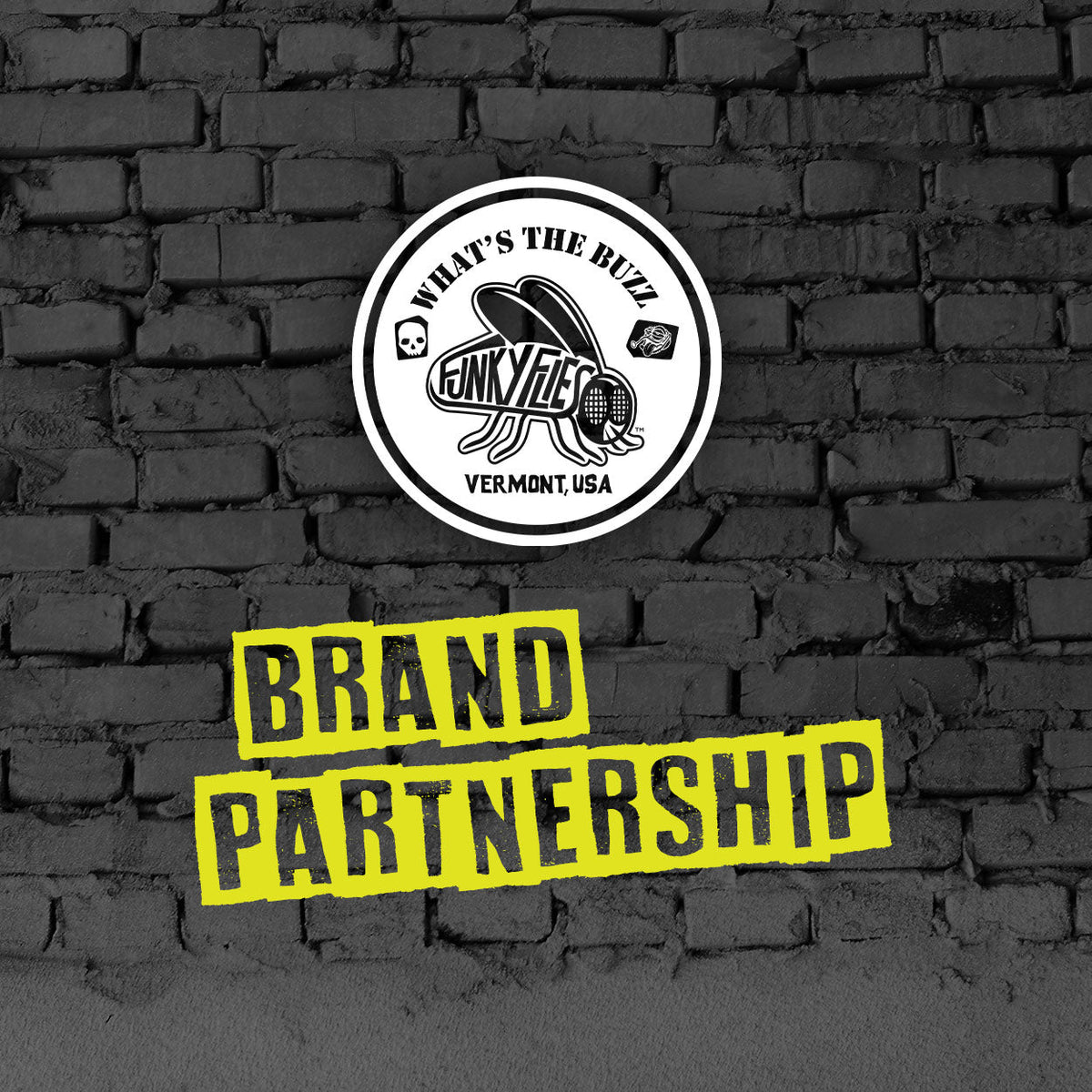 Boost Your Brand with Funky Flies: The Influence of Innovative Collabo